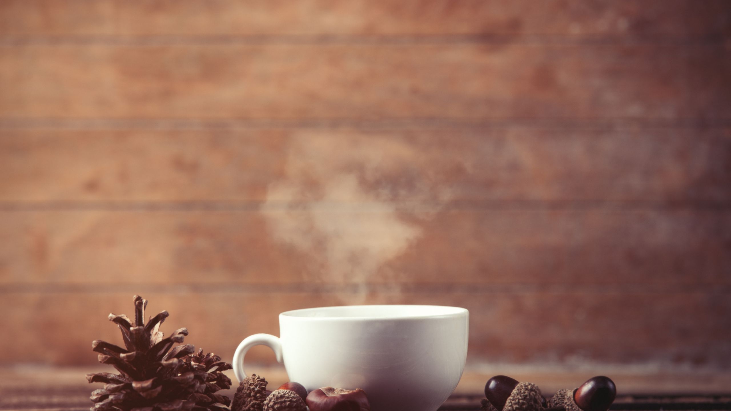 And in Jesus…” A Look at Christ’s Humanity - BridgeWay Community Church